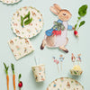 Peter Rabbit Special Plates – Meri Meri EU
