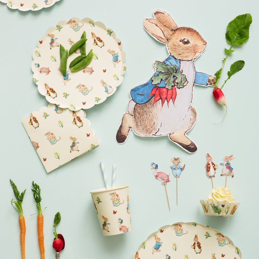 Peter Rabbit Special Plates – Meri Meri EU